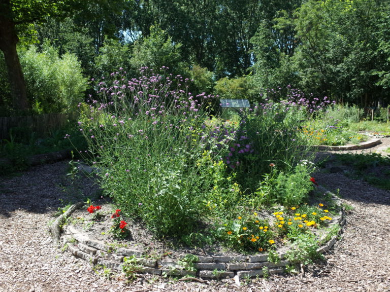 Rutger Spoelstra | Popta Garden